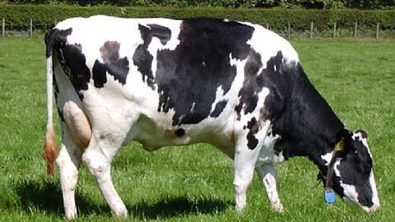 Nature Will Castigate Those Who Don't Masticate - Game Informer